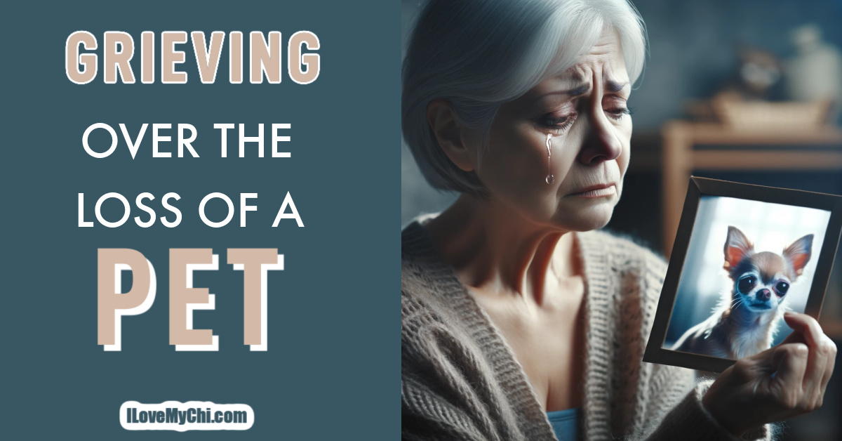 Grieving Over The Loss of a Pet: Coping Tips for Pet Owners - I Love My Chi