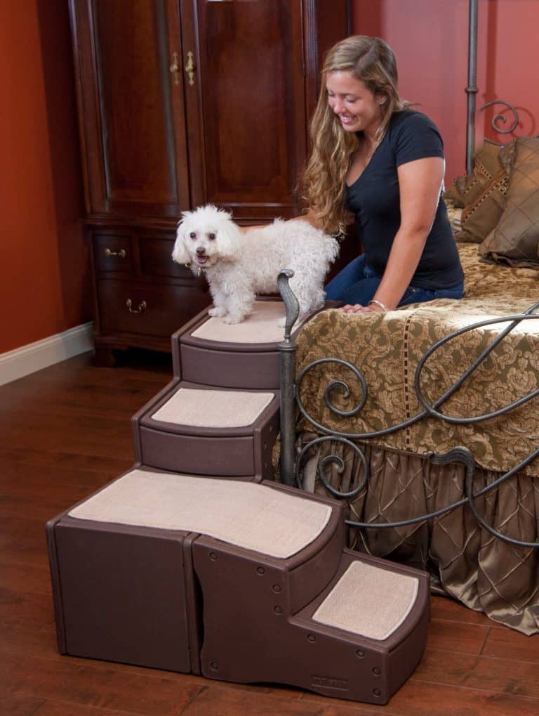 The Best Steps and Ramps for Small Dogs - I Love My Chi