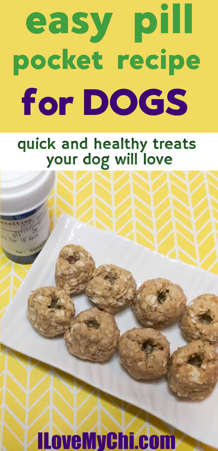 Make Your Own Pill Pockets for Dogs - I Love My Chi
