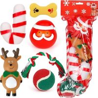 Christmas Stocking Stuffer Ideas for Your Small Dog - I Love My Chi
